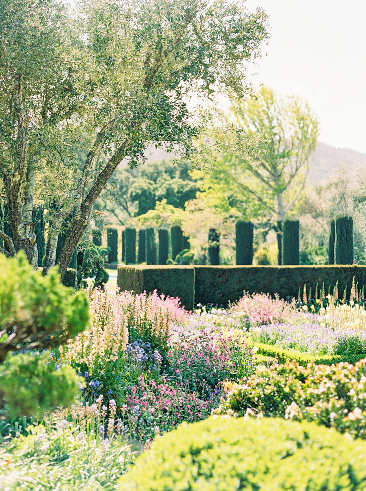 Romantic Spring Wedding at Filoli Gardens - oliviamarshall.com