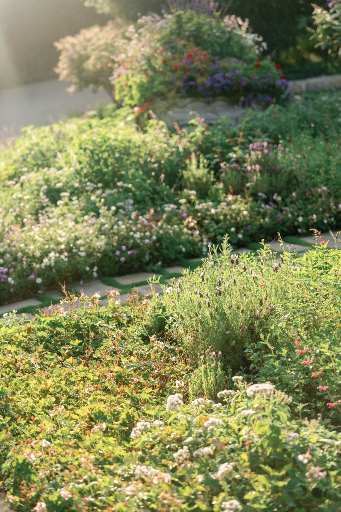 Santa Barbara Wedding Venue: San Ysidro Ranch - oliviamarshall.com